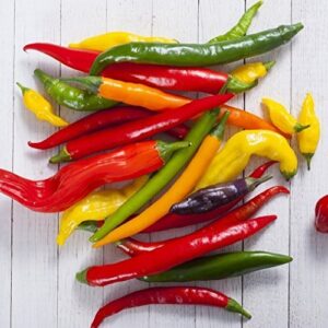 david’s garden seeds pepper cayenne blend 9622 (multi) 25 non-gmo, heirloom seeds