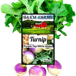 6 Grams 2500 Purple Top White Turnip Seeds for Planting Non-GMO Heirloom Vegetables Variety Seed Packet Instructions to Plant Home Vegetable Garden Great for Summer Fall & Winter Gardens B&KM Farms