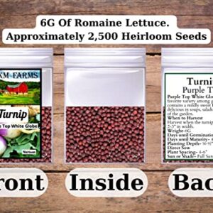 6 Grams 2500 Purple Top White Turnip Seeds for Planting Non-GMO Heirloom Vegetables Variety Seed Packet Instructions to Plant Home Vegetable Garden Great for Summer Fall & Winter Gardens B&KM Farms