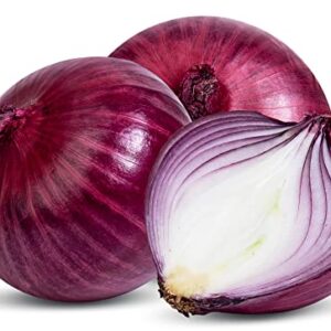 Red Shortday Burgundy Onion Seeds for Planting, 300+ Heirloom Seeds Per Packet, (Isla's Garden Seeds), Non GMO Seeds, Botanical Name: Allium cepa, Great Home Garden Gift