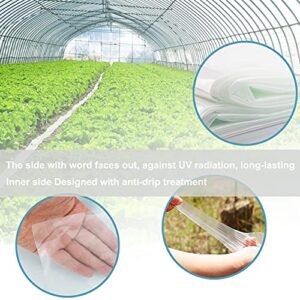 6 mil Greenhouse Plastic Film Sheeting Cover, 10' x 26' UV Resistant Polyethylene Film, 4 Year Green House Hoop Supply Farm Plastic Cover