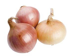 sow no gmo onion texas early grano short day vidiala type non gmo heirloom garden vegetable 50 seeds