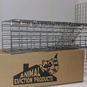 Animal Eviction Products One Way Door Excluder Valve for Squirrels