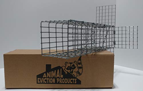 Animal Eviction Products One Way Door Excluder Valve for Squirrels