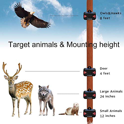 Lycoming Predator Control Light Coyote Deterrent 4 Pack Bundle with Univerayo Solar Predator Lights for Yard Chickens Coop Raccoon Fox Skunk Deer Repellent 4 Pack