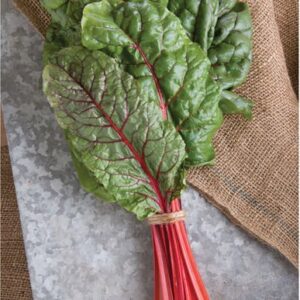 david’s garden seeds swiss chard ruby red fba-7522 (maroon) 200 non-gmo, heirloom seeds