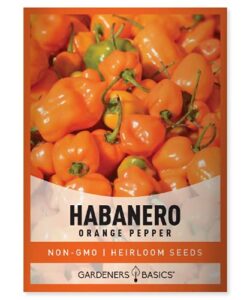 orange habanero pepper seeds for planting heirloom non-gmo hot habanero peppers plant seeds for home garden vegetables makes a great gift for gardeners by gardeners basics