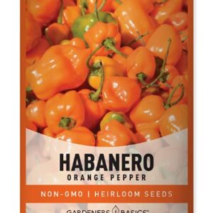 Orange Habanero Pepper Seeds for Planting Heirloom Non-GMO Hot Habanero Peppers Plant Seeds for Home Garden Vegetables Makes a Great Gift for Gardeners by Gardeners Basics