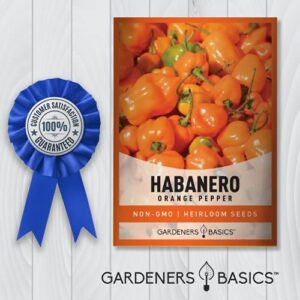 Orange Habanero Pepper Seeds for Planting Heirloom Non-GMO Hot Habanero Peppers Plant Seeds for Home Garden Vegetables Makes a Great Gift for Gardeners by Gardeners Basics