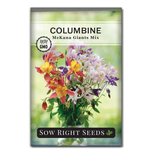 Sow Right Seeds - Warm Color Flower Seed for Planting - Red Sunflower, Orange Poppy, Yellow Zinnia, Plus Daisy and Columbine Seeds - Non-GMO Variety to Plant a Flower Garden