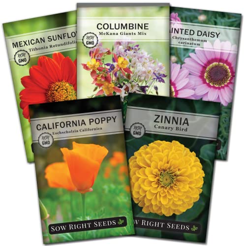 Sow Right Seeds - Warm Color Flower Seed for Planting - Red Sunflower, Orange Poppy, Yellow Zinnia, Plus Daisy and Columbine Seeds - Non-GMO Variety to Plant a Flower Garden