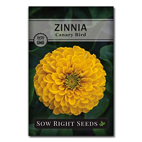 Sow Right Seeds - Warm Color Flower Seed for Planting - Red Sunflower, Orange Poppy, Yellow Zinnia, Plus Daisy and Columbine Seeds - Non-GMO Variety to Plant a Flower Garden