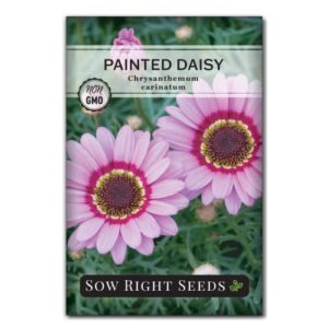 Sow Right Seeds - Warm Color Flower Seed for Planting - Red Sunflower, Orange Poppy, Yellow Zinnia, Plus Daisy and Columbine Seeds - Non-GMO Variety to Plant a Flower Garden