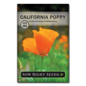 Sow Right Seeds - Warm Color Flower Seed for Planting - Red Sunflower, Orange Poppy, Yellow Zinnia, Plus Daisy and Columbine Seeds - Non-GMO Variety to Plant a Flower Garden