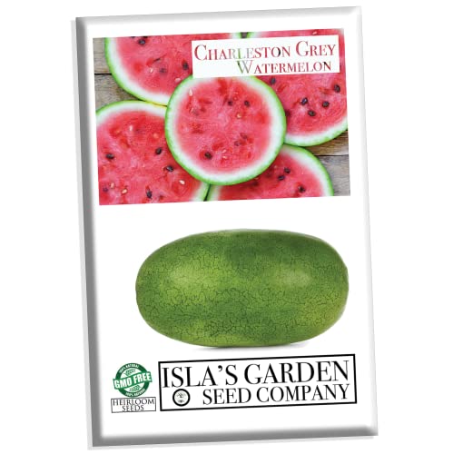 Charleston Grey Watermelon Seeds for Planting, 30+ Heirloom Seeds Per Packet, (Isla's Garden Seeds), Non GMO Seeds, Botanical Name: Citrullus lanatus, Great Home Garden Gift