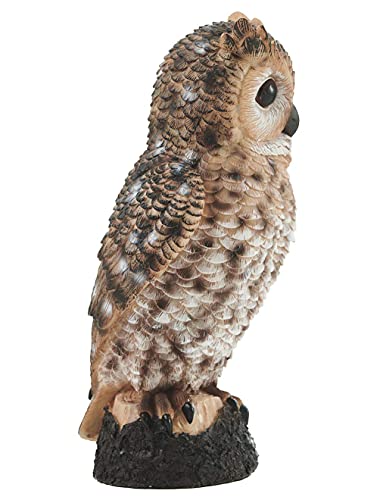 VA Resin Garden Owl Statue, Fake Owl, Fake Statue, Fake Owls, Garden Owl, Owl Décor, Realistic Owl, Owl Yard Décor, Owl.