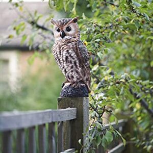 VA Resin Garden Owl Statue, Fake Owl, Fake Statue, Fake Owls, Garden Owl, Owl Décor, Realistic Owl, Owl Yard Décor, Owl.