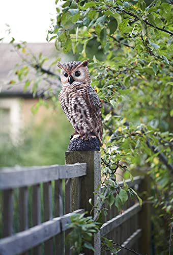 VA Resin Garden Owl Statue, Fake Owl, Fake Statue, Fake Owls, Garden Owl, Owl Décor, Realistic Owl, Owl Yard Décor, Owl.