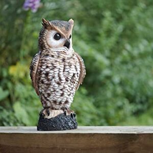 VA Resin Garden Owl Statue, Fake Owl, Fake Statue, Fake Owls, Garden Owl, Owl Décor, Realistic Owl, Owl Yard Décor, Owl.