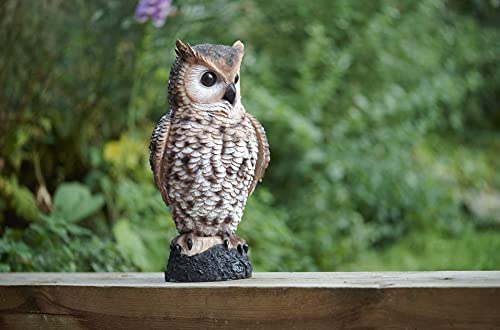 VA Resin Garden Owl Statue, Fake Owl, Fake Statue, Fake Owls, Garden Owl, Owl Décor, Realistic Owl, Owl Yard Décor, Owl.