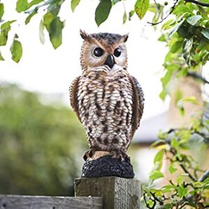 VA Resin Garden Owl Statue, Fake Owl, Fake Statue, Fake Owls, Garden Owl, Owl Décor, Realistic Owl, Owl Yard Décor, Owl.