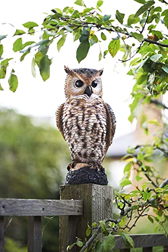 VA Resin Garden Owl Statue, Fake Owl, Fake Statue, Fake Owls, Garden Owl, Owl Décor, Realistic Owl, Owl Yard Décor, Owl.