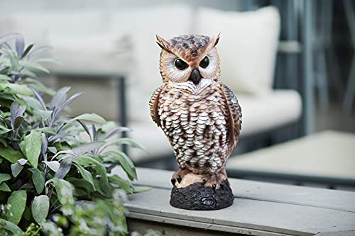 VA Resin Garden Owl Statue, Fake Owl, Fake Statue, Fake Owls, Garden Owl, Owl Décor, Realistic Owl, Owl Yard Décor, Owl.