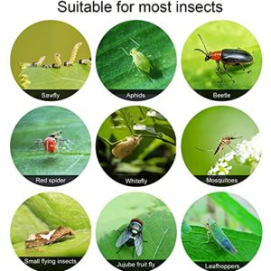 20 Pack Blue Sticky Trap Fungus Traps, Gnat Killer Fruit Fly Paper Moth Traps for Thrips Indoor Outdoor