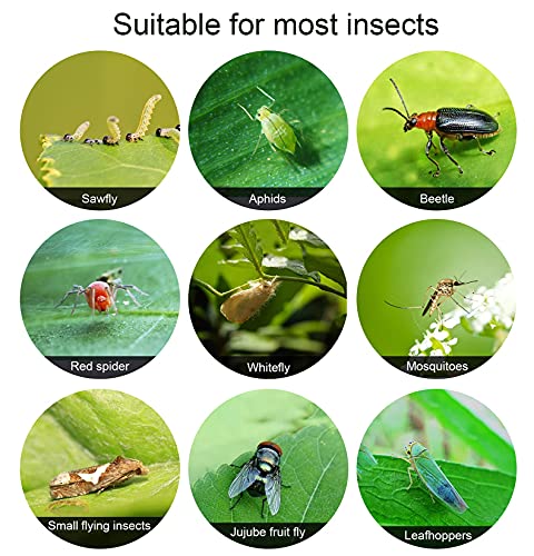 20 Pack Blue Sticky Trap Fungus Traps, Gnat Killer Fruit Fly Paper Moth Traps for Thrips Indoor Outdoor