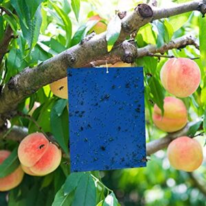 20 Pack Blue Sticky Trap Fungus Traps, Gnat Killer Fruit Fly Paper Moth Traps for Thrips Indoor Outdoor