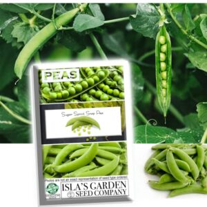 sugar sprint snap pea seeds for planting, 25+ heirloom seeds per packet, (isla’s garden seeds), non gmo seeds, botanical name: pisum sativum, great home garden gift