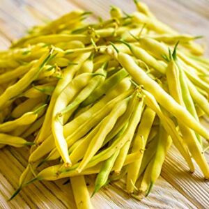 Golden Wax Bush Bean Plant Seeds, 50 Heirloom Seeds Per Packet, Non GMO Seeds, (Isla's Garden Seeds), Botanical Name: Phaseolus vulgaris, 85% Germination Rates