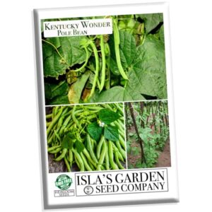 kentucky wonder pole bean seeds for planting, 30 heirloom seeds per packet, (isla’s garden seeds), non gmo seeds, botanical name: phaseolus vulgaris, great home garden gift