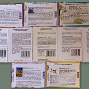 DesertUSA Desert Garden Seed Starter Kit