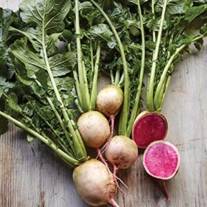 Burpee Watermelon Radish Seeds 300 seeds