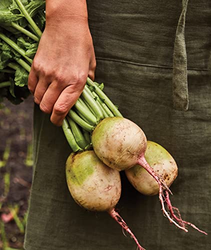 Burpee Watermelon Radish Seeds 300 seeds