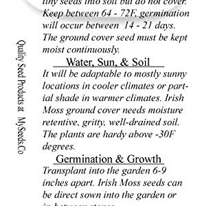 IRISH MOSS SEEDS, Sagina subulata, Heath Pearlwort, Perfect In Garden, Lawn Substitue or In-Between Stones, Groundcover Heath Pearlwort, Zones 4-10 - By MySeeds.Co (10000 Seeds)