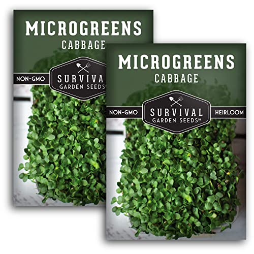 Survival Garden Seeds Cabbage Microgreens for Sprouting and Growing - 2 Packs - Sprout Green Leafy Micro Vegetable Plants Indoors - Grow A Mini Windowsill Garden - Non-GMO Heirloom Variety