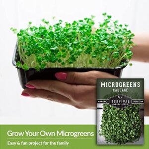 Survival Garden Seeds Cabbage Microgreens for Sprouting and Growing - 2 Packs - Sprout Green Leafy Micro Vegetable Plants Indoors - Grow A Mini Windowsill Garden - Non-GMO Heirloom Variety