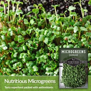 Survival Garden Seeds Cabbage Microgreens for Sprouting and Growing - 2 Packs - Sprout Green Leafy Micro Vegetable Plants Indoors - Grow A Mini Windowsill Garden - Non-GMO Heirloom Variety