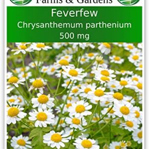 TKE Farms - Feverfew Seeds for Planting, 500 mg ~ 3000 Seeds, Chrysanthemum parthenium