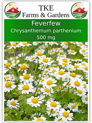 TKE Farms - Feverfew Seeds for Planting, 500 mg ~ 3000 Seeds, Chrysanthemum parthenium