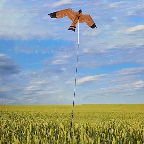 decor Garden Bird Repellent Eagle Kite,Bird Scarer Repeller Flying Kite,Hawk Bird Scarer Kite for Outdoor Garden Farm Yard Decoration - Include 2M Kite Line