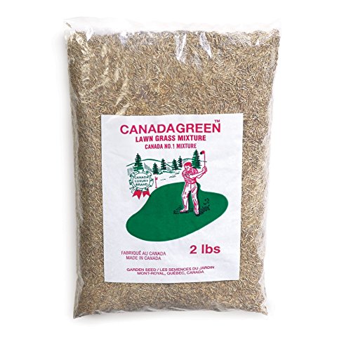 Canada Green Grass Lawn Seed - Grows Healthy Rich Green Grass Lawn Seed Plants Yard Garden 2 Pound Bag