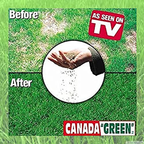 Canada Green Grass Lawn Seed - Grows Healthy Rich Green Grass Lawn Seed Plants Yard Garden 2 Pound Bag