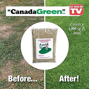 Canada Green Grass Lawn Seed - Grows Healthy Rich Green Grass Lawn Seed Plants Yard Garden 2 Pound Bag