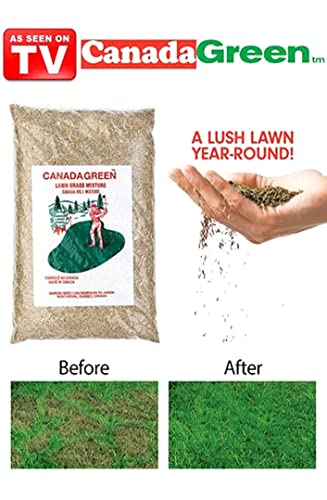 Canada Green Grass Lawn Seed - Grows Healthy Rich Green Grass Lawn Seed Plants Yard Garden 2 Pound Bag