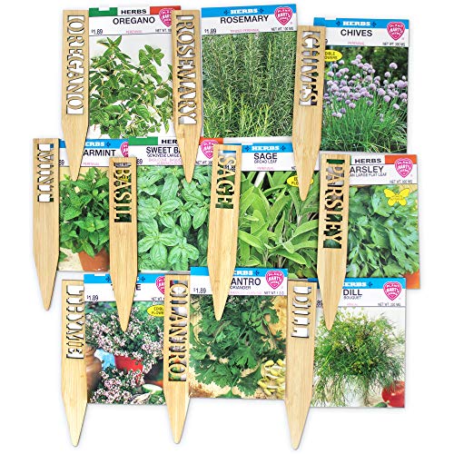 Window Garden Herb Seeds - 10 Popular Varieties for Indoor or Outdoor Planting, Growing. Attractive Markers and Quality Seed - Basil Parsley Dill Oregano Rosemary Chives Mint Sage Thyme Cilantro.