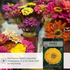 Sow Right Seeds Canary Bird Zinnia Seeds - Full Instructions for Planting, Beautiful to Plant in Your Flower Garden; Non-GMO Heirloom Seeds; Wonderful Gardening Gifts (1)