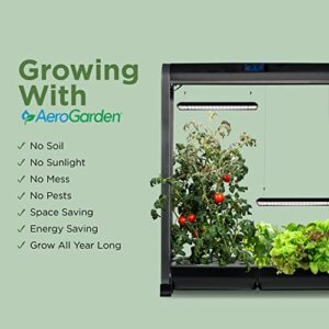 AeroGarden Farm 24XL with Salad Bar Seed Pod Kit - Indoor Garden with LED Grow Light, Black & Be The Bee Pollinator